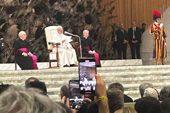 Pope Leo’s Audience With Media Covering Conclave - Catholics For Catholics