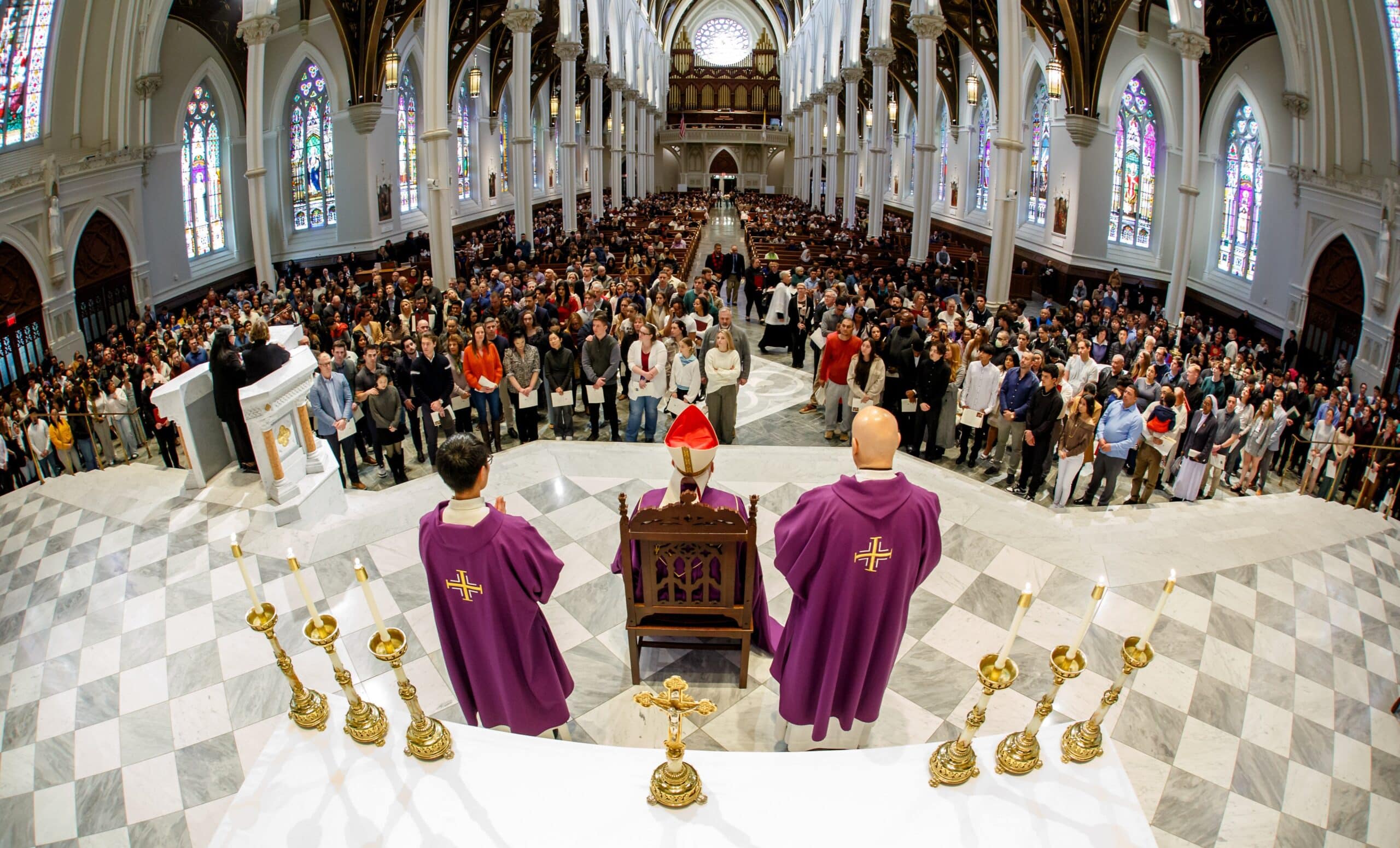 An Increasing Number of Google Users Want to Know How to Become ...