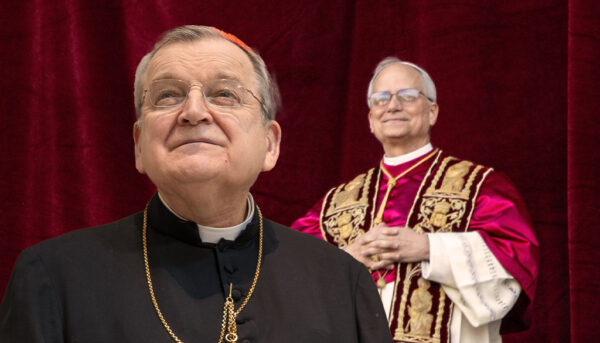 Cardinal Raymond Burke Expresses His Gratitude For The New Pope: Viva ...