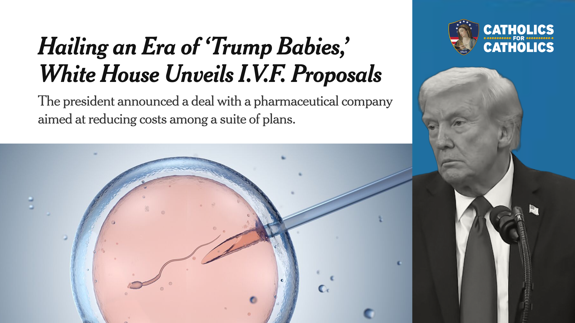 Catholic Leaders and Pro-Life Groups Hold Fast Against Trump's IVF ...