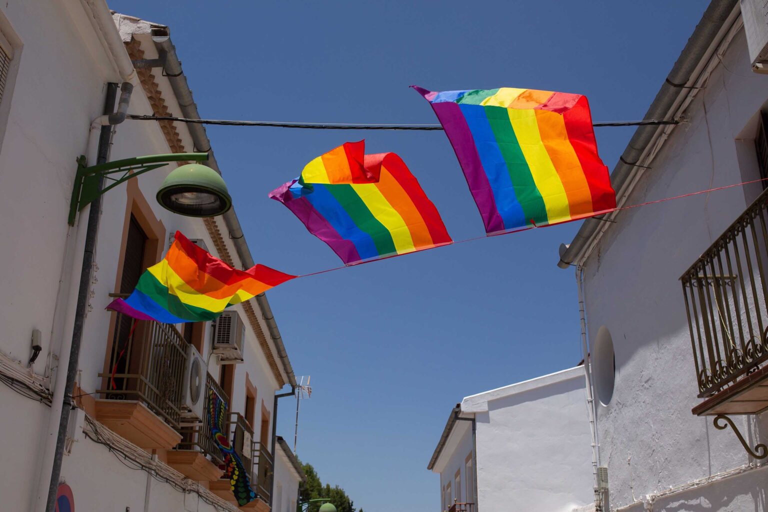 New York Town Removes Pride Flag as Crowds Protest - Catholics For ...